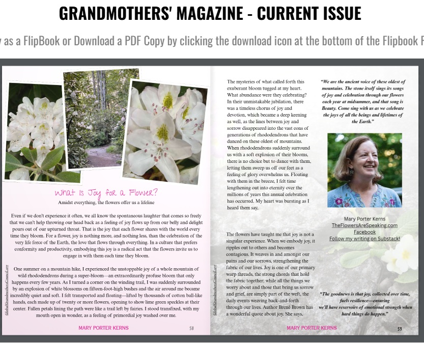 Publications – The Flowers Are Speaking